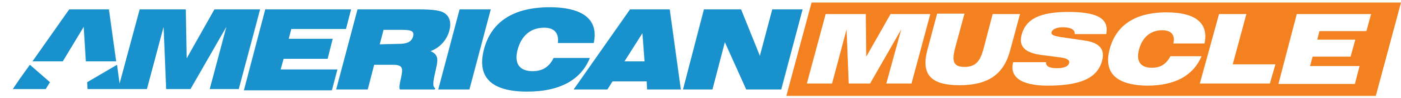 What are non-returnable items? – AmericanMuscle Service Center